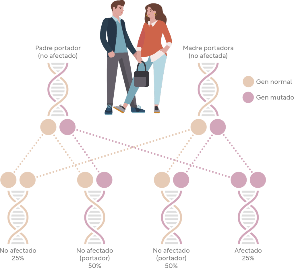 Test de Compatibilidad Genética (TCG) - Next Fertility