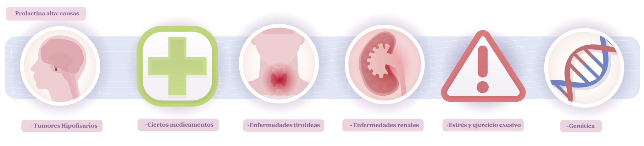 Prolactina alta: cómo afecta a la búsqueda de embarazo - Next Fertility