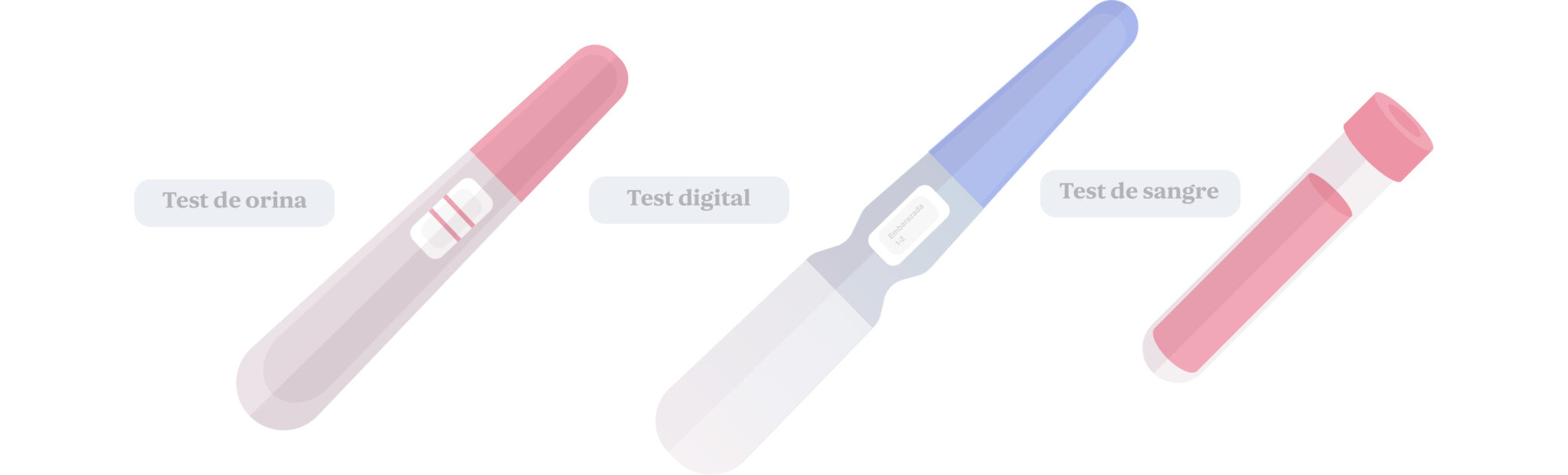 Test de embarazo: cuándo y cómo hacerlos - Next Fertility