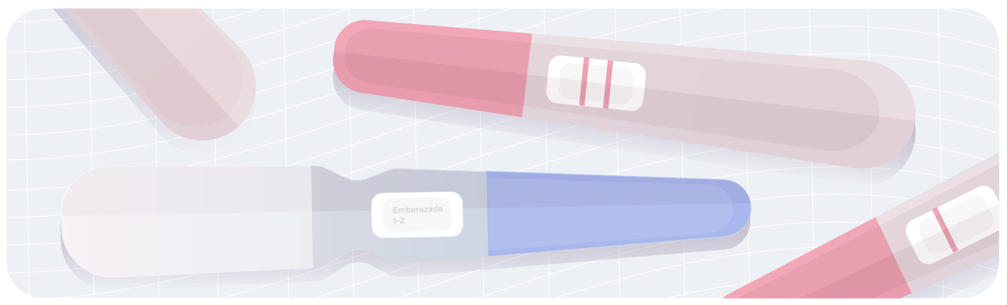 Test de embarazo: cuándo y cómo hacerlos - Next Fertility