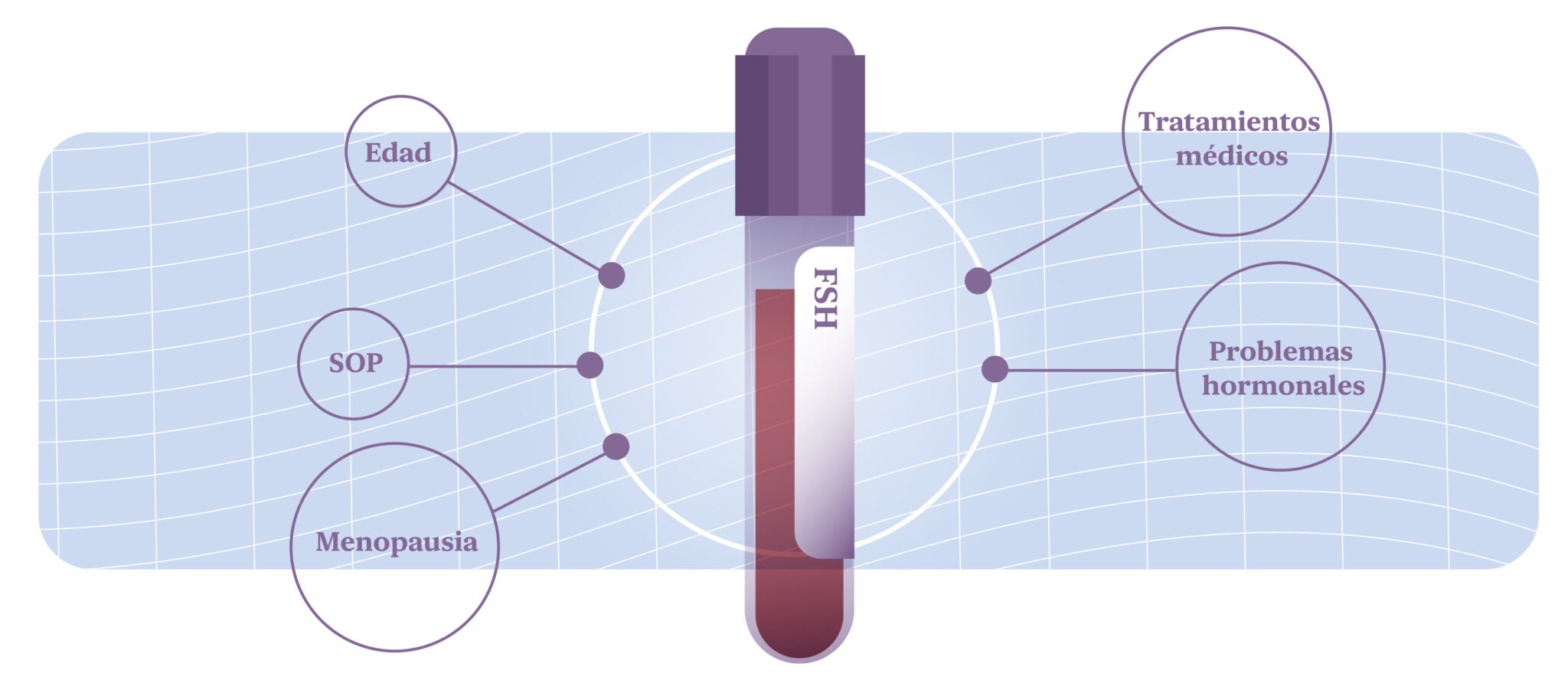 Hormona FSH: ¿cómo influye en mi fertilidad? - Next Fertility